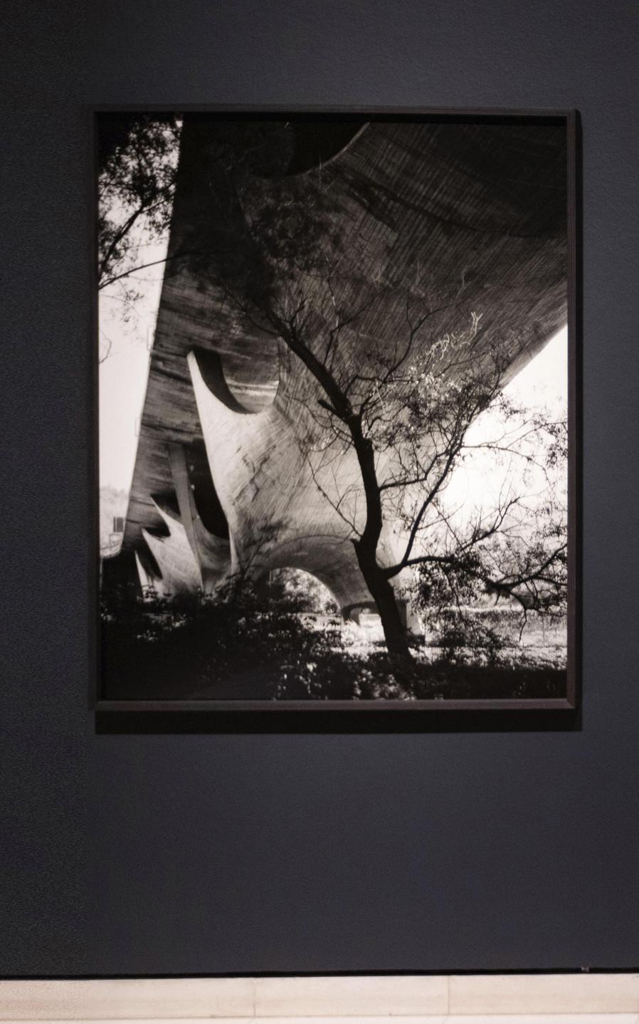 Light Lines: The Architectural Photographs of Hélène Binet | Tim Abrahams