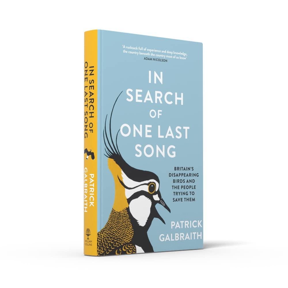 A bird-lover’s lament | David Profumo | The Critic Magazine