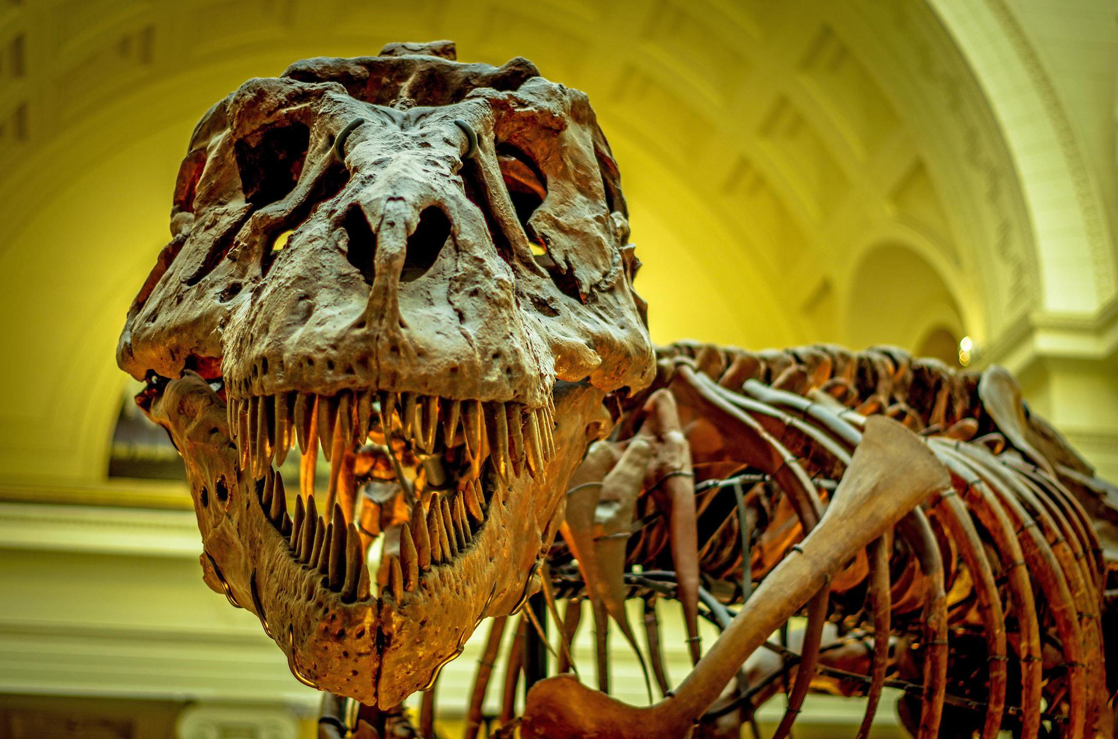 Dem bones, dem sky-high bones | Michael Prodger | The Critic Magazine