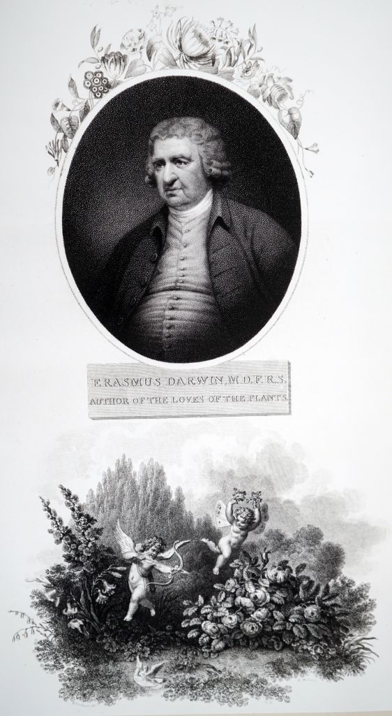 Is nature non-binary? | Esmé Partridge | The Critic Magazine