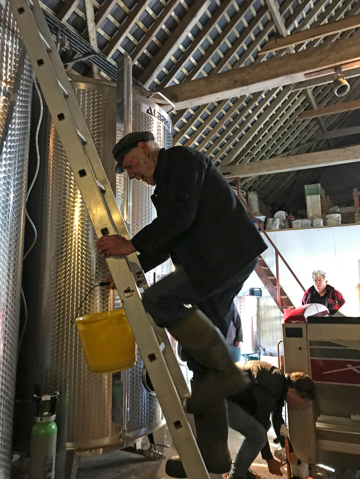 The intoxicating fizz of success | Harry Eyres | The Critic Magazine