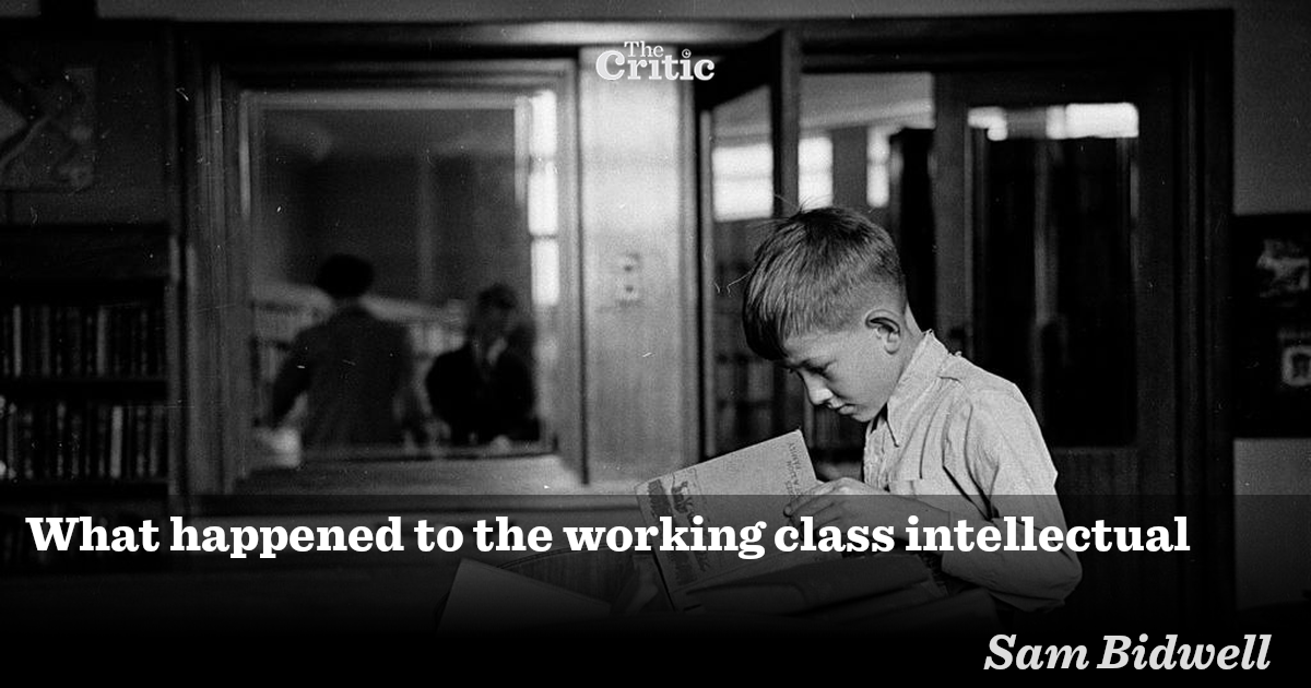 What happened to the working class intellectual | Sam Bidwell | The ...
