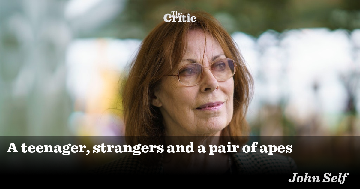 A teenager, strangers and a pair of apes | John Self | The Critic Magazine