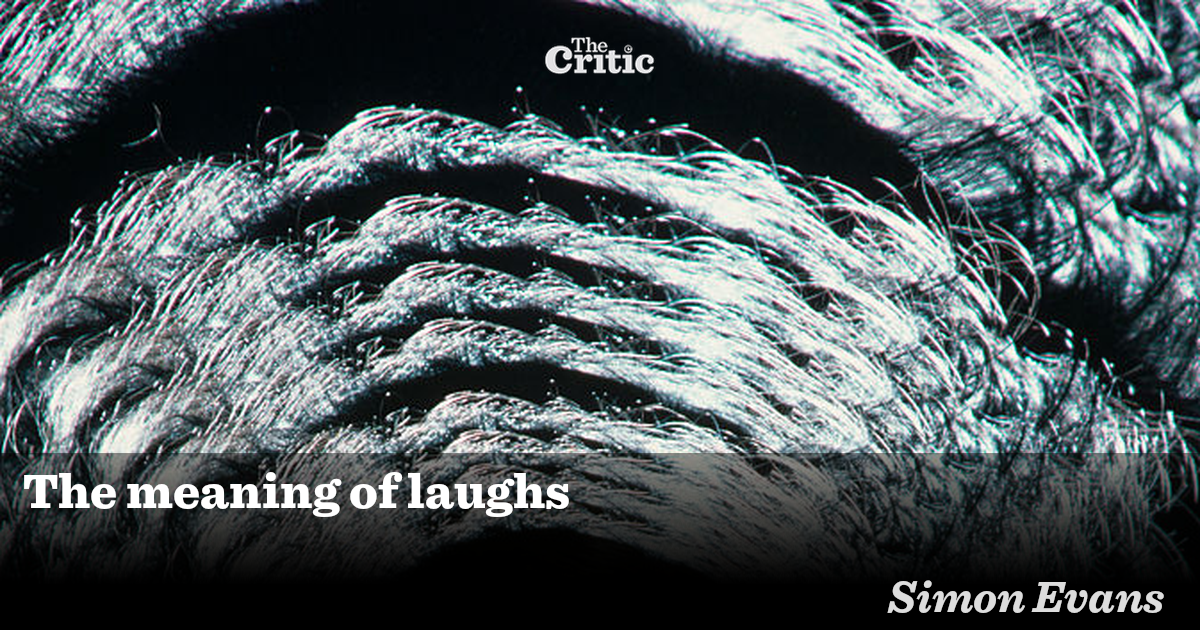 The meaning of laughs | Simon Evans | The Critic Magazine