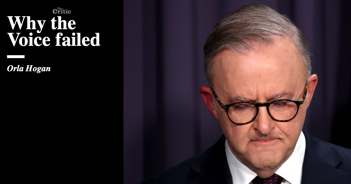 Why the Voice failed | Orla Hogan | The Critic Magazine