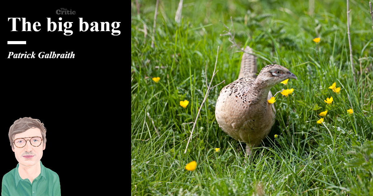 The big bang | Patrick Galbraith | The Critic Magazine