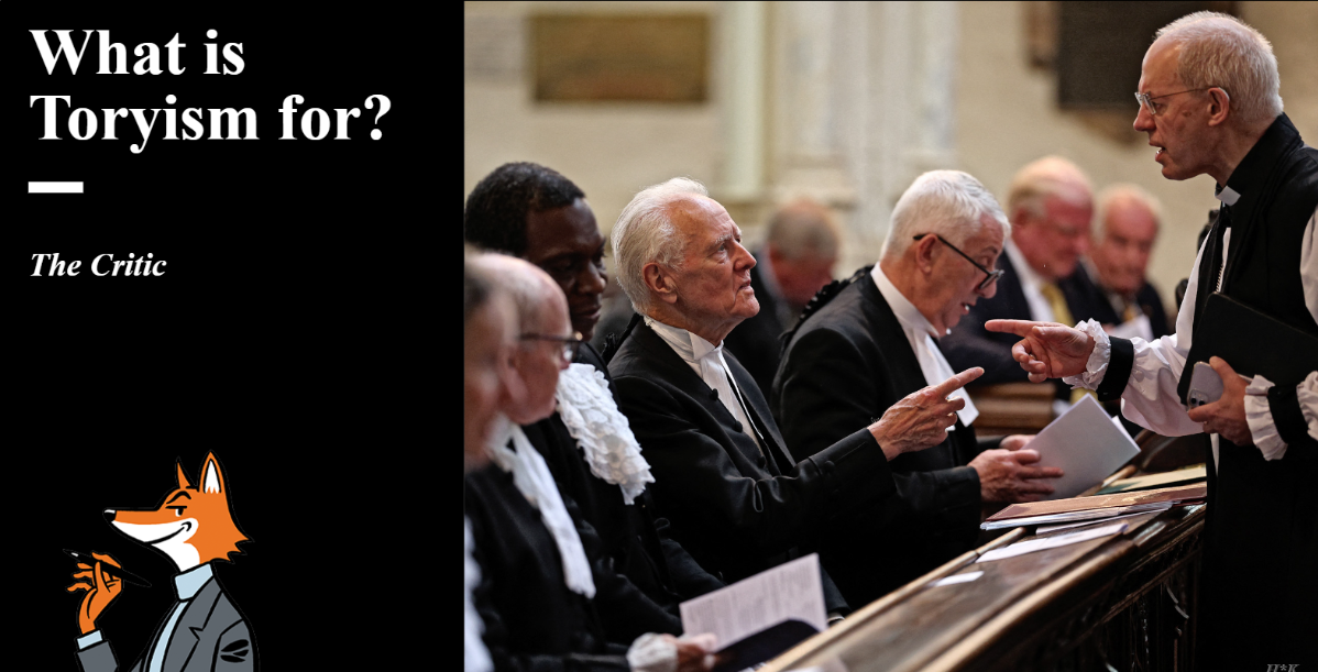 What is Toryism for? | The Critic | The Critic Magazine