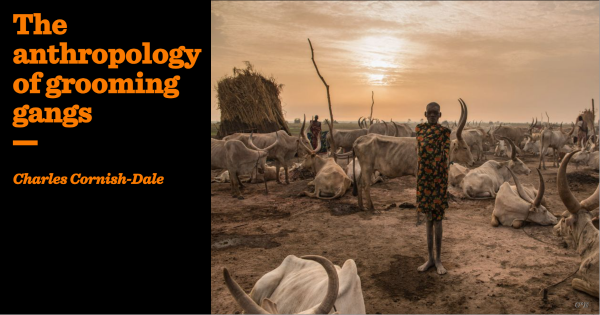 The anthropology of grooming gangs | Charles Cornish-Dale | The Critic ...