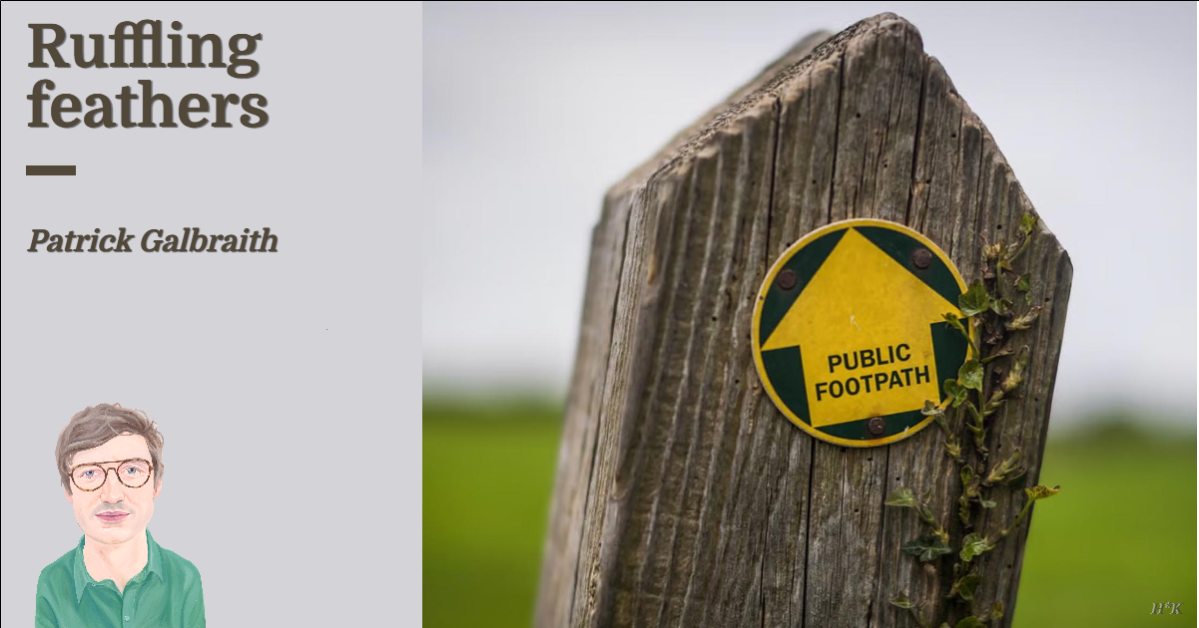 Ruffling feathers | Patrick Galbraith | The Critic Magazine