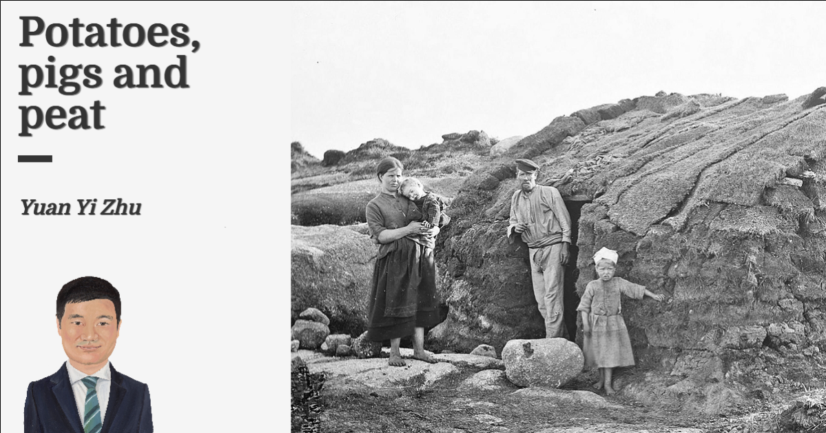 Potatoes, pigs and peat | Yuan Yi Zhu | The Critic Magazine