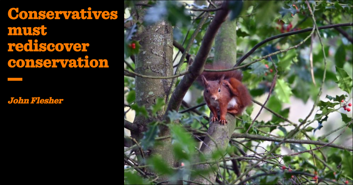 Conservatives must rediscover conservation | John Flesher | The Critic ...