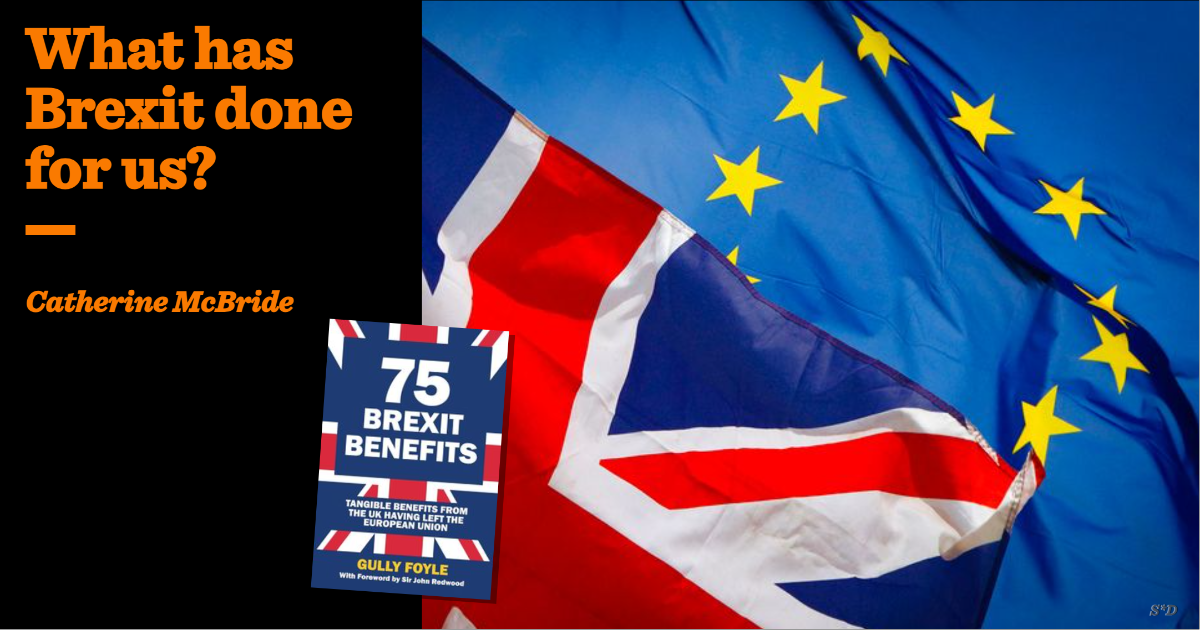 What has Brexit done for us? | Catherine McBride | The Critic Magazine