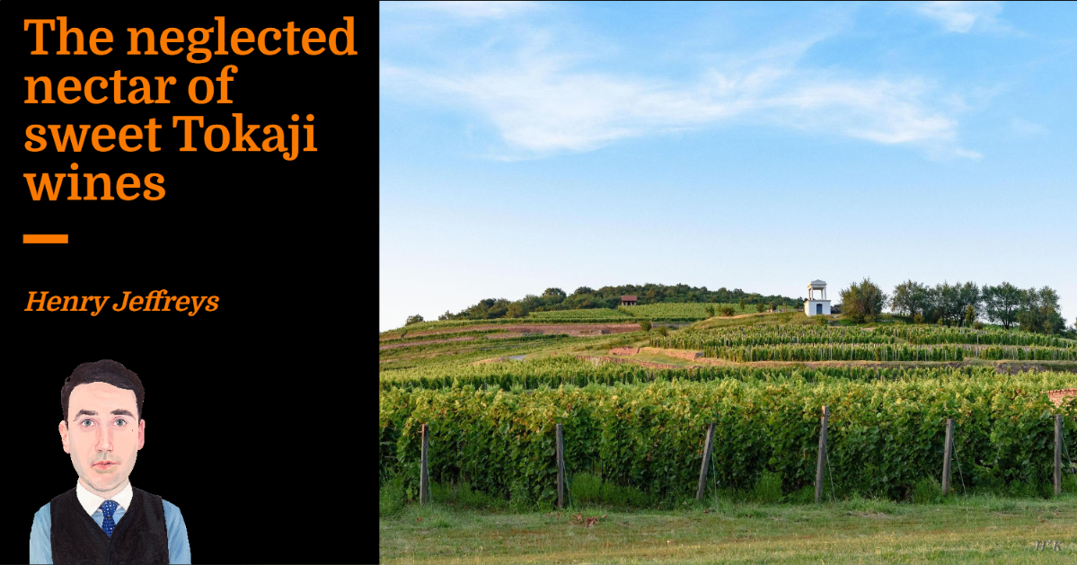 The neglected nectar of sweet Tokaji wines | Henry Jeffreys | The ...