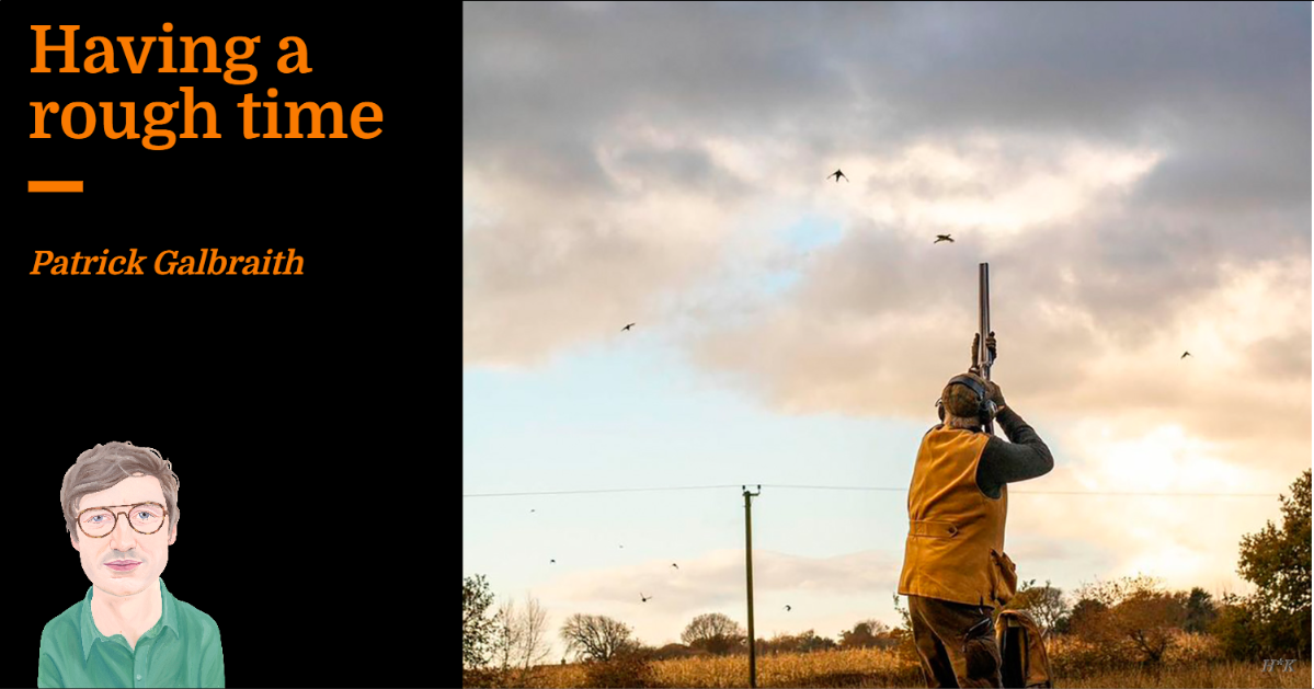 Having a rough time | Patrick Galbraith | The Critic Magazine